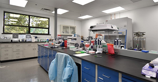 Woburn Labs - Spring and Summer Availability